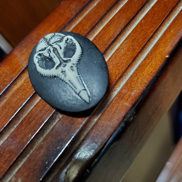 allegra dark and light | Office | Raven Skull Magnet Quoth The Raven ...